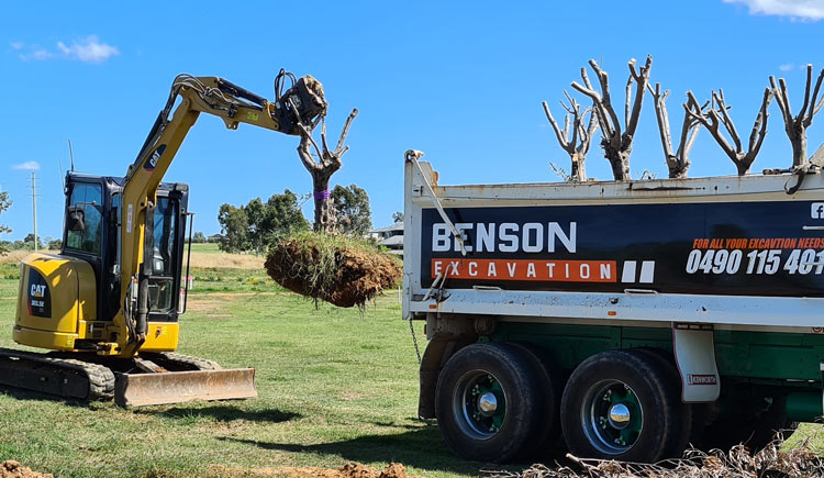Site and Tree Clearing Get your project moving with our fast service.